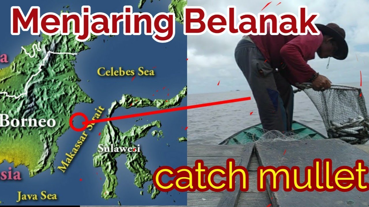 menjaring ikan belanak di laut.spot gosong pasir tengah laut - YouTube