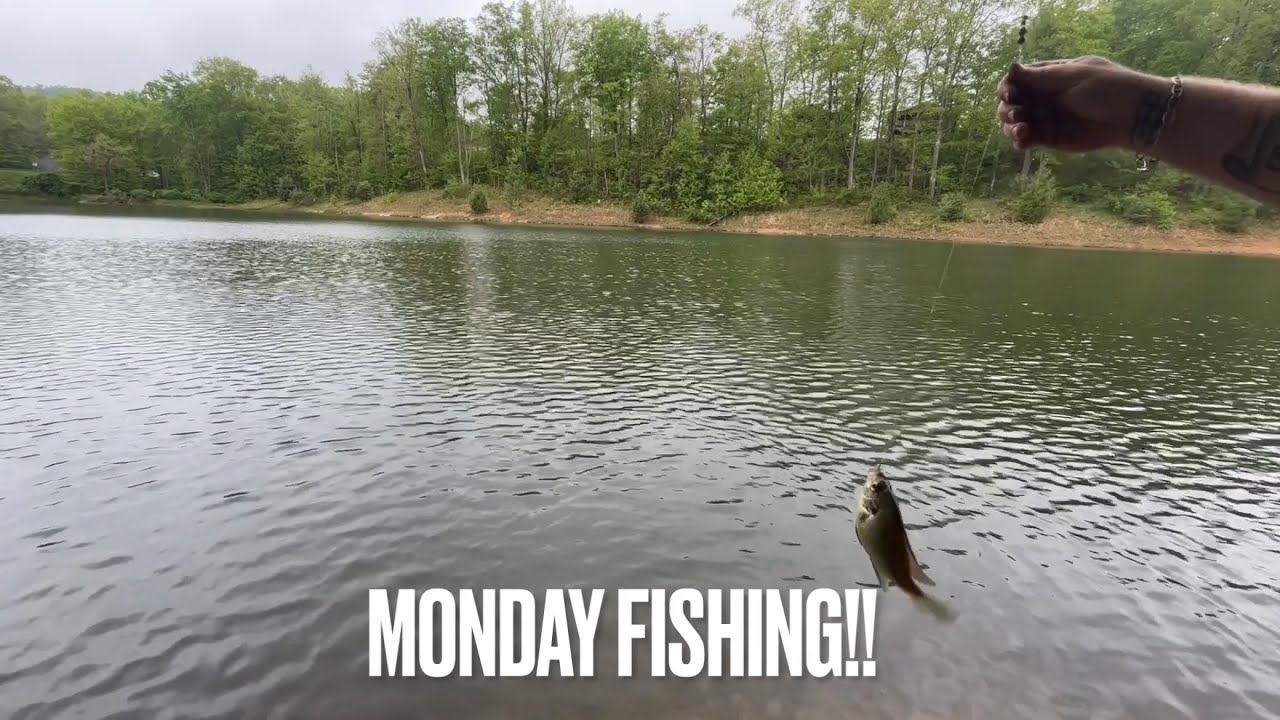 Monday Fishing!! The bites was down!! - YouTube
