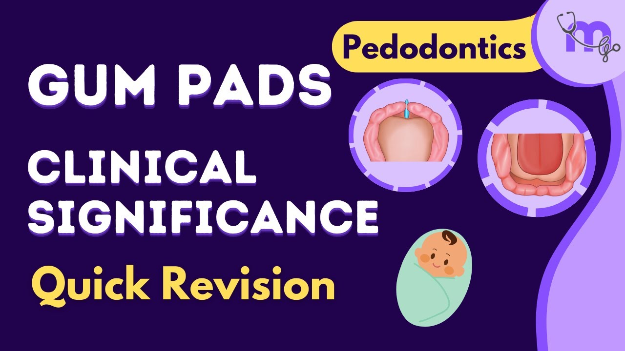 Clinical Significance of Gum pads - Revise in 1 minute ! - YouTube