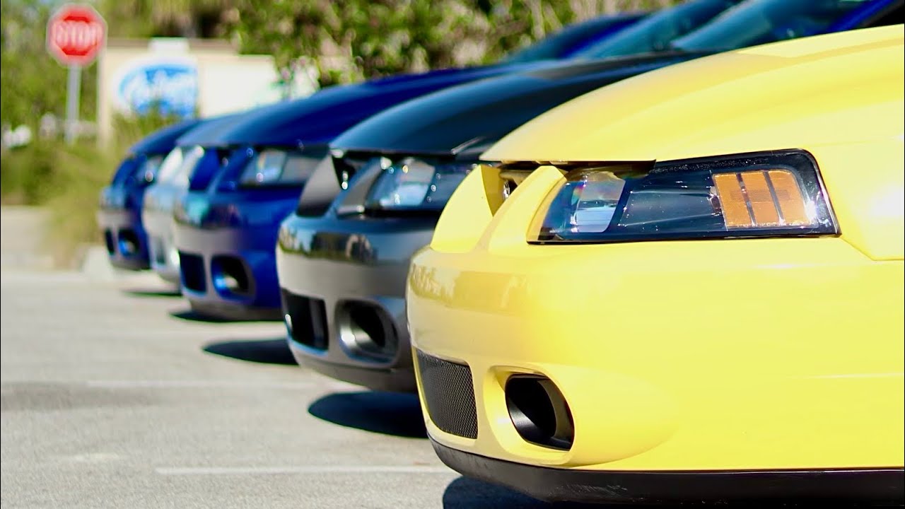 Terminator Cobras Go Drag Racing at The Track! *I ran my new Personal ...