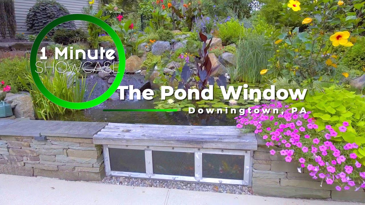 1 MINUTE SHOWCASE 12: Entryway Pond & The Pond Window in Downingtown ...