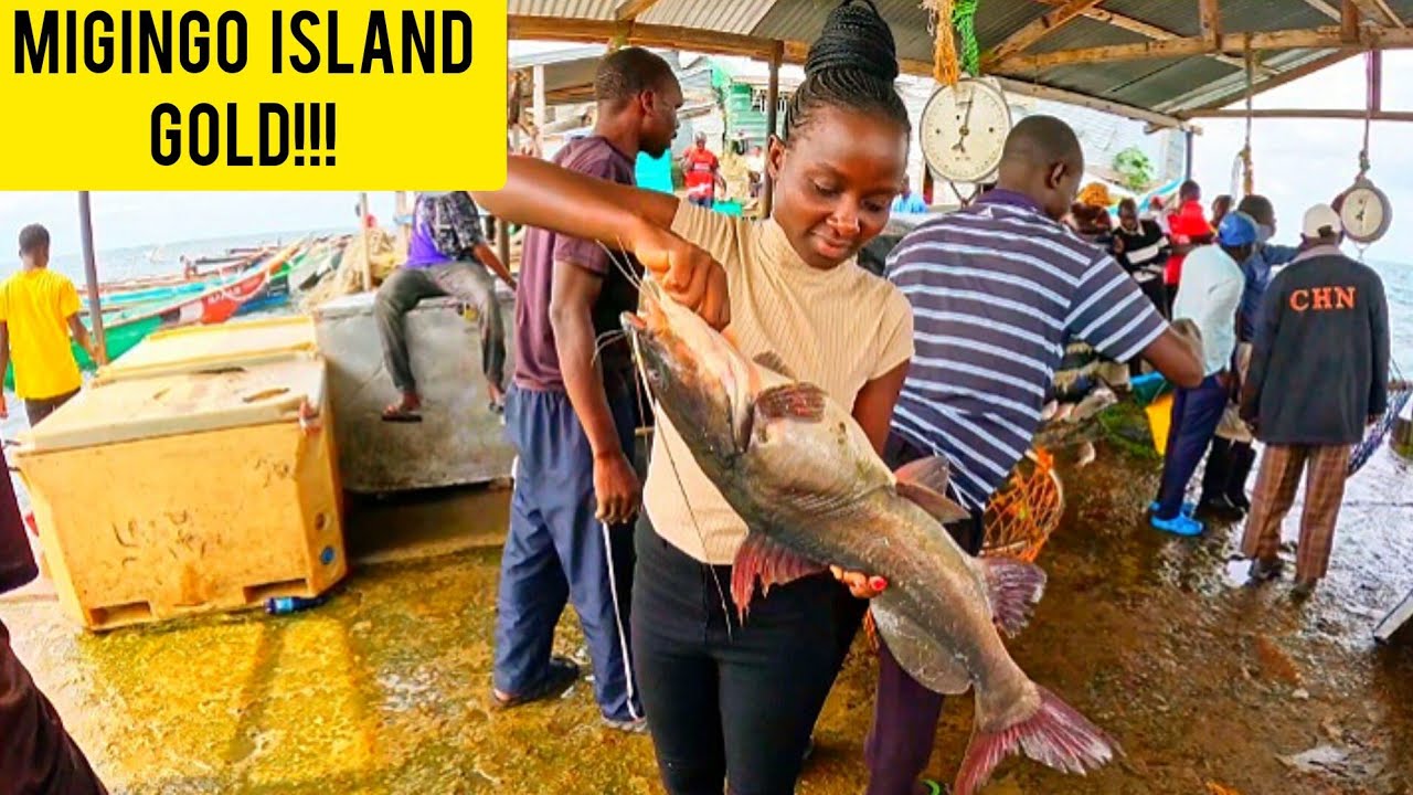 WHY IS MIGINGO ISLAND CLAIMED BY TWO COUNTRIES? KENYA AND UGANDA? - YouTube