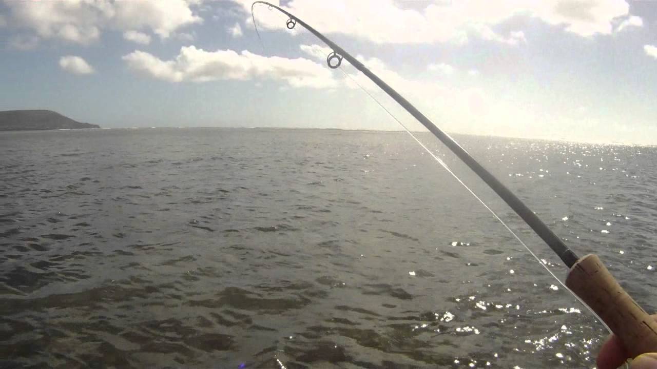 Fly fishing for weke - YouTube