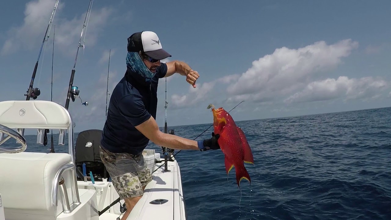 Going Solo: Ambassador Solo Angler Heads to the Great Barrier Reef ...