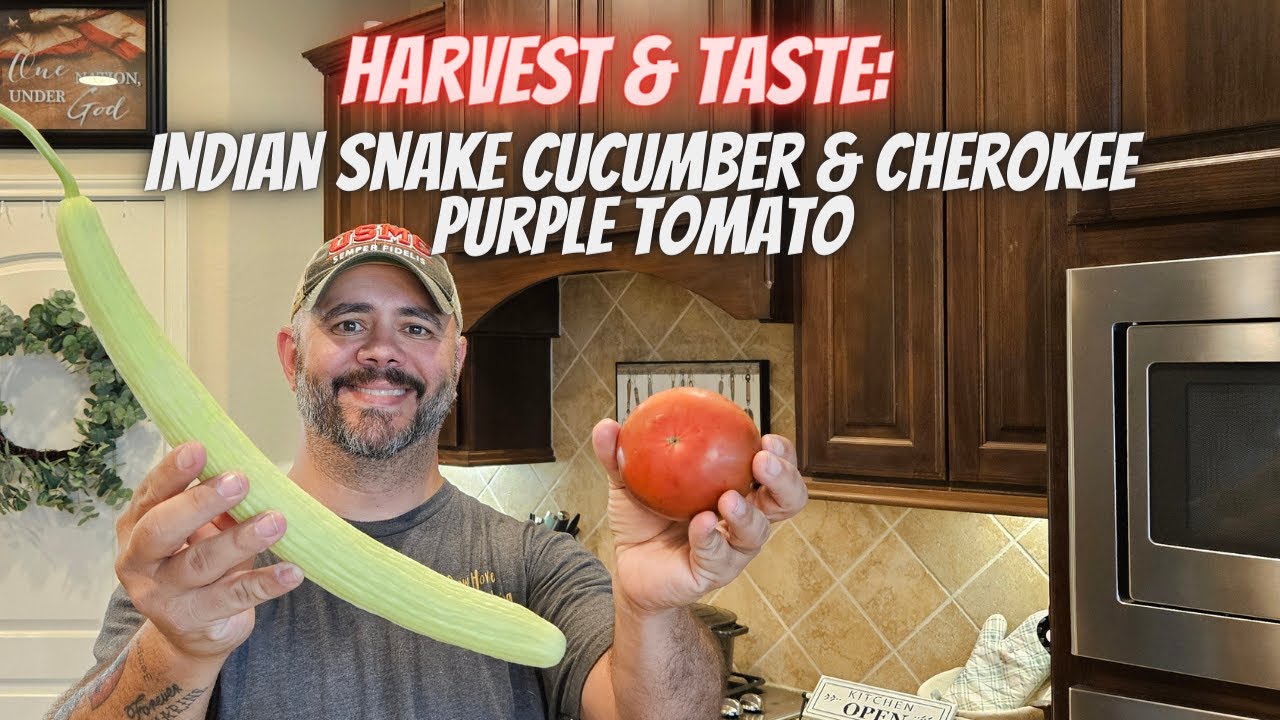 Indian Snake Cucumber & Cherokee Purple Tomato Taste Test || DHBG - YouTube