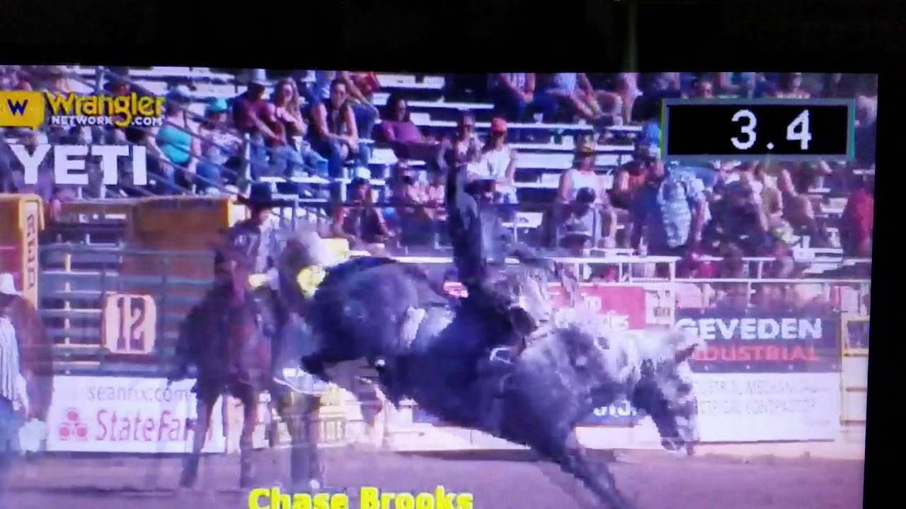 Chase Brooks on C5 Rodeo's Rockstar Red Bluff 2018 - YouTube