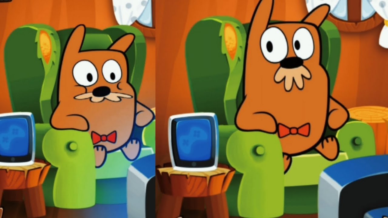 Don't disturb Mr Marmot Grumpy😡🤭😂🤣 - YouTube