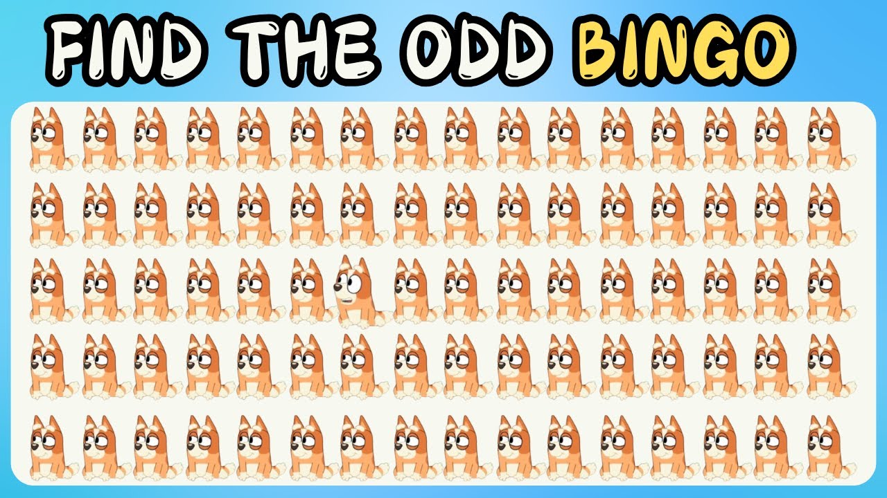 Find The Odd One Out: ALL BINGO Puzzles - YouTube