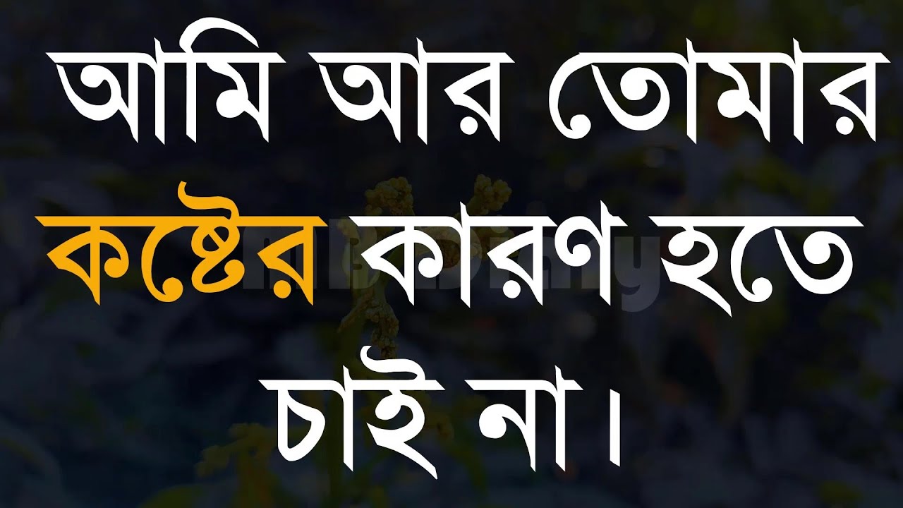আমি আর তোমার কষ্টের কারণ হতে চাই না।-Life Changing Motivationa l ...