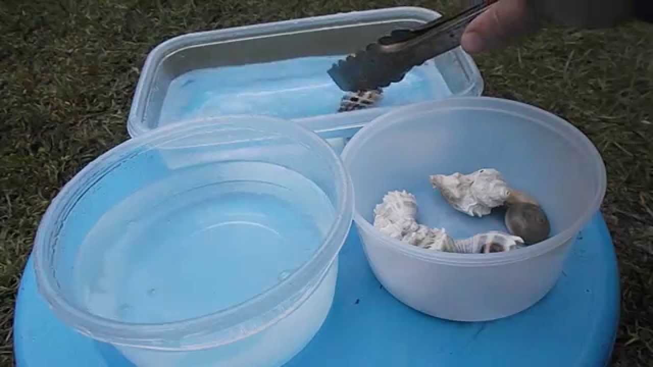 My setup for dipping my King's Crowns in Muriatic Acid - YouTube