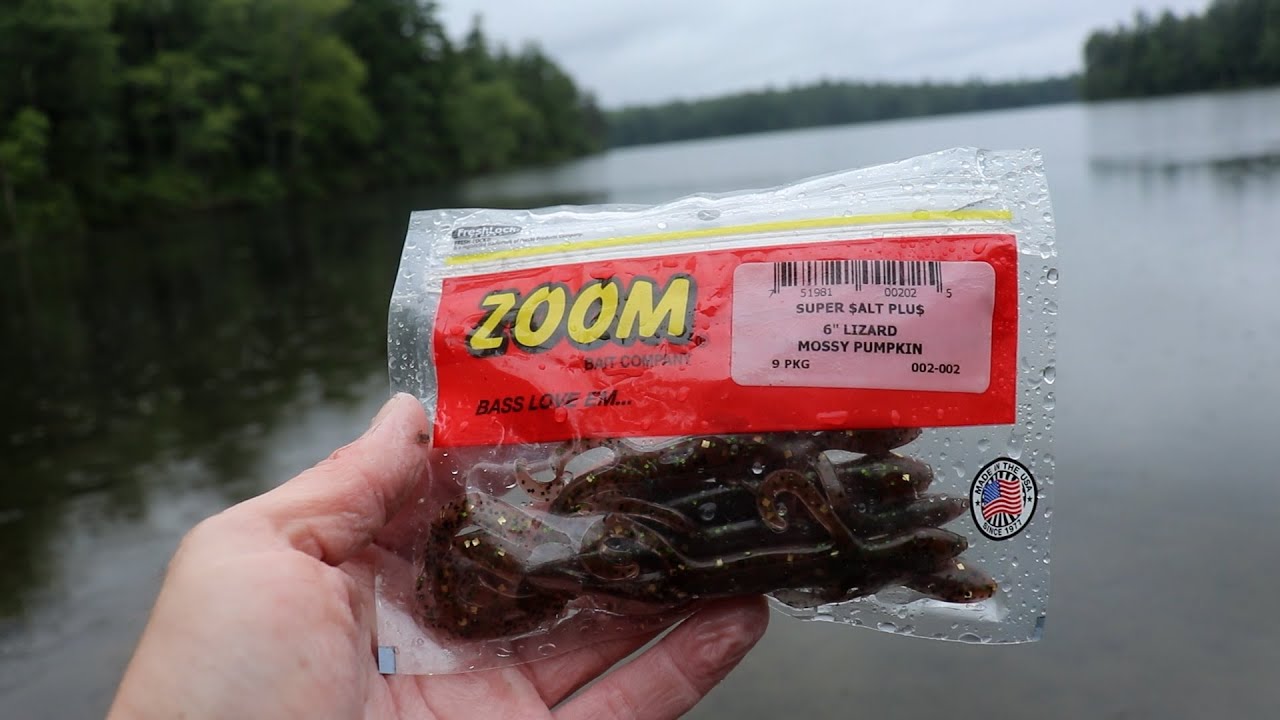 Drop-Shotting a ZOOM Lizard for Smallmouth and Largemouth in the RAIN ...