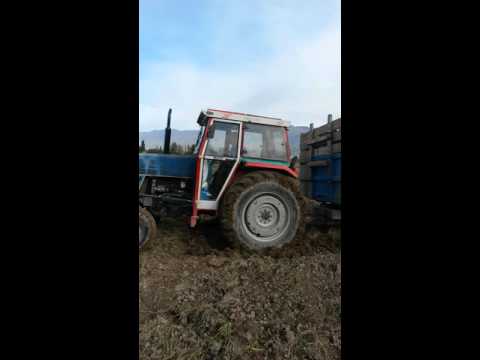 285 mf  traktor cekismesi pancar yuklu