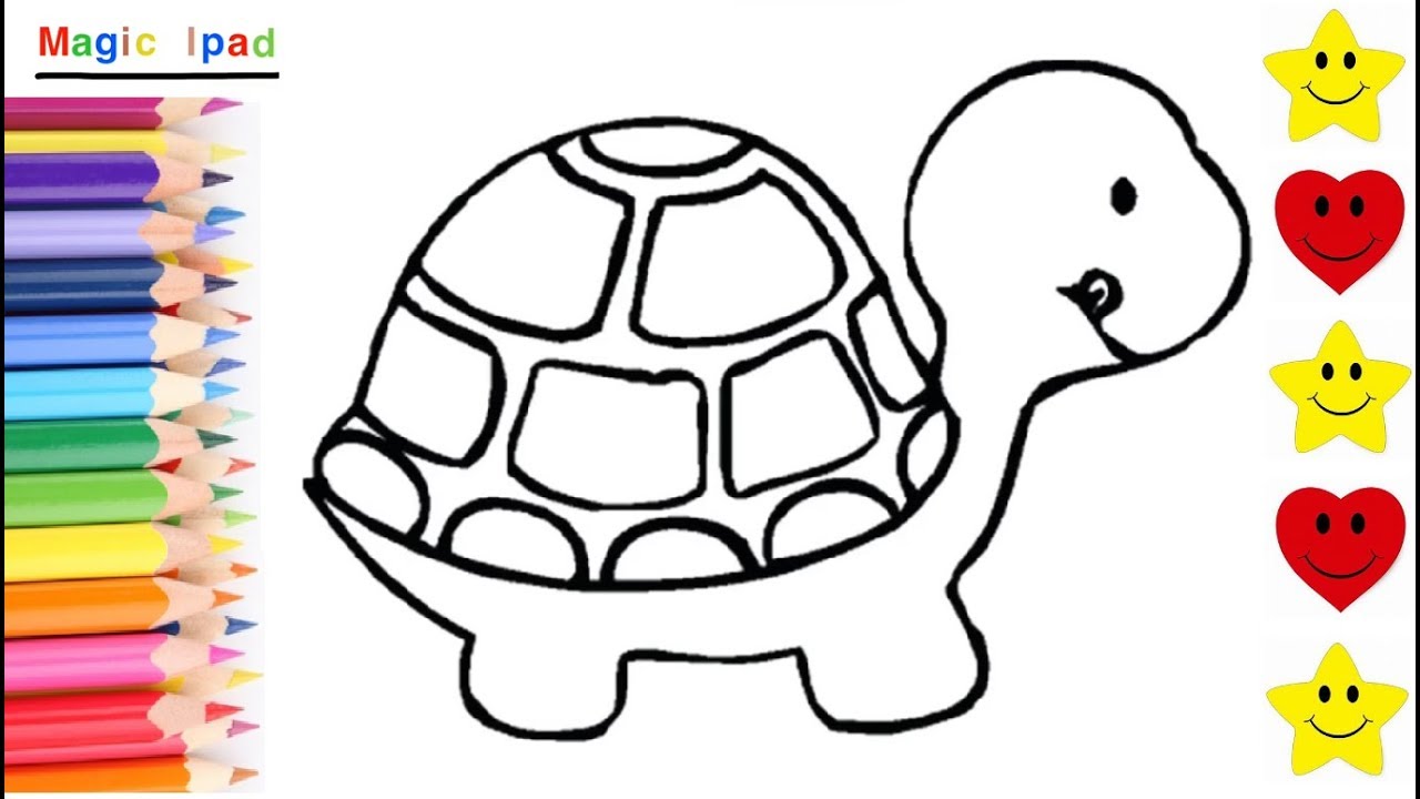Como Dibujar una TORTUGA | dibujos para niños 💓⭐ How to Draw a TURTLE ...