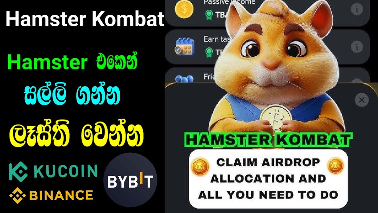 Hamster kombat update | hamster kombat new update | airdrop allocation ...