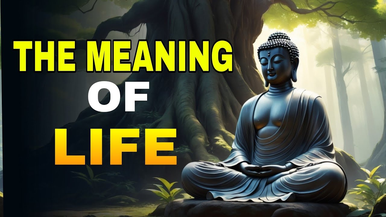 The Wandering Monk | Understanding Life’s True Meaning | Buddha's ...