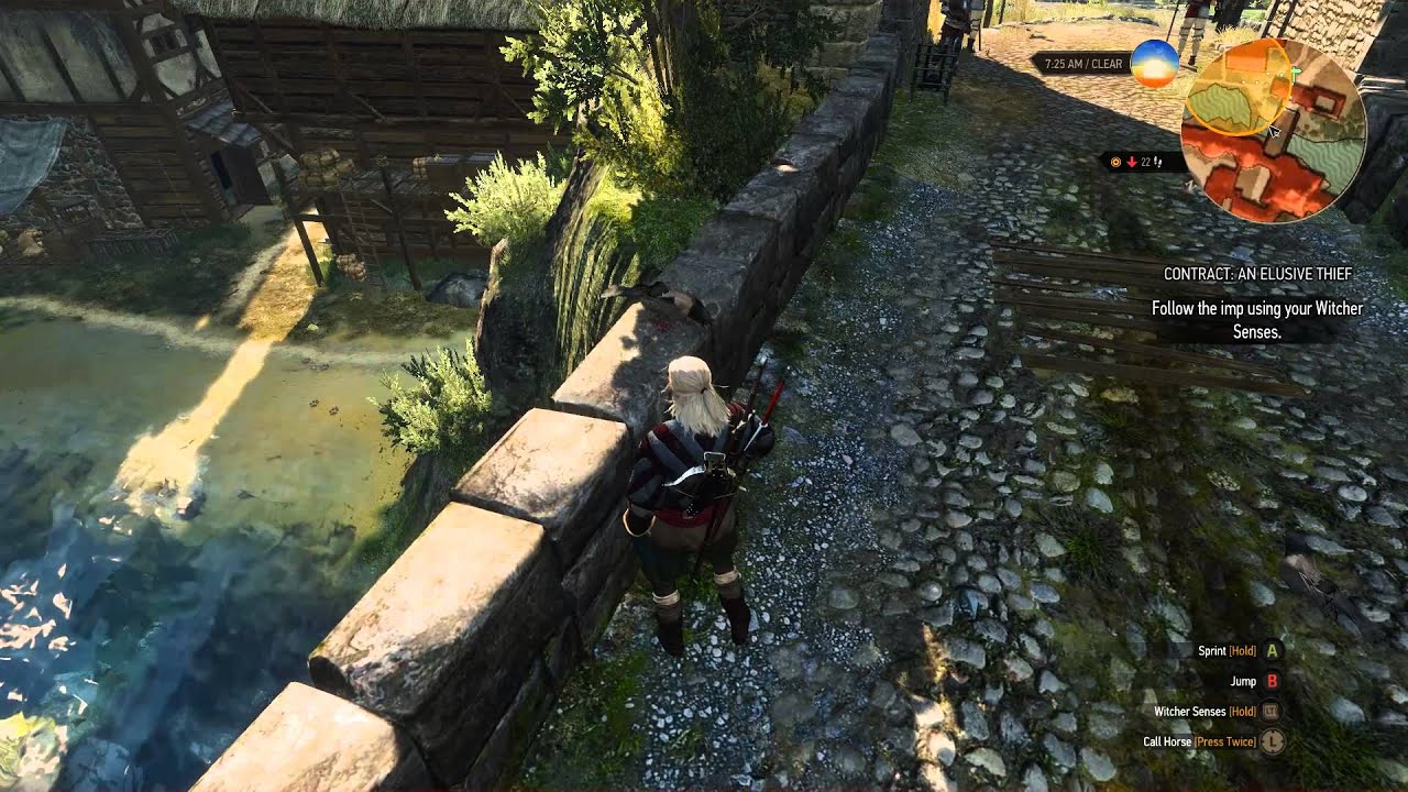 The Witcher 3 - An Elusif Thief (Witcher Contract) Death March ...