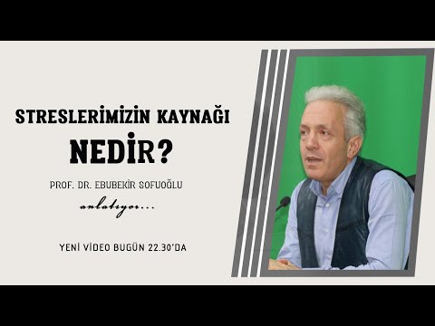 Prof. Dr. Ebubekir Sofuoğlu Anlatıyor:Gençlerimizin Stresinin Kaynağı Nedir?