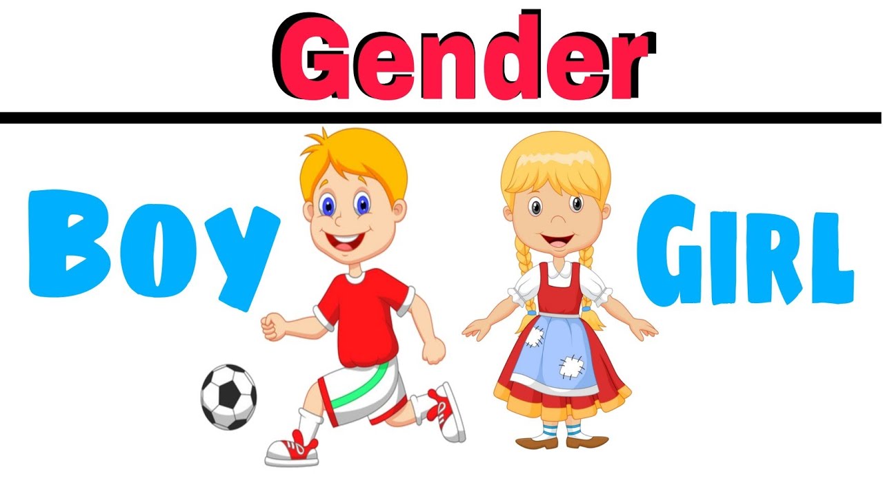 Gender for kids || Learn Gender in English with pictures || Learn ...