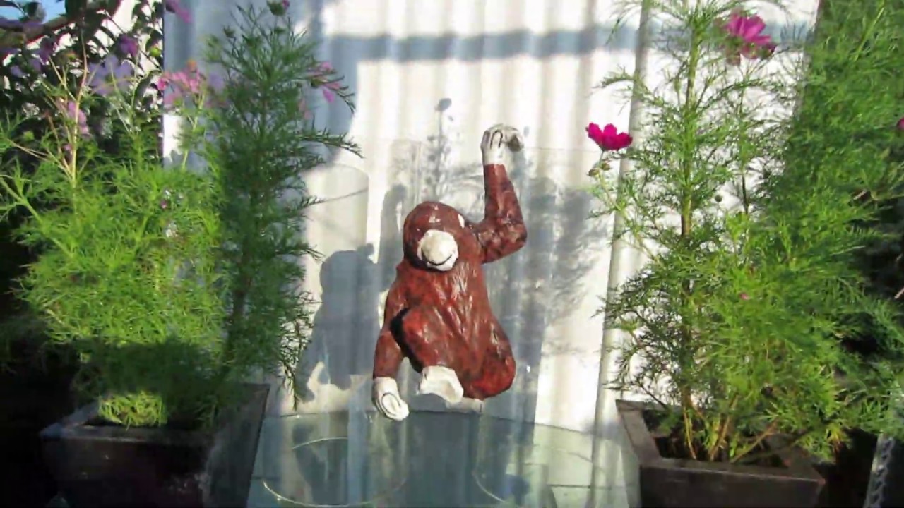 Laura M Fashion live im Garten 01 09 2019 - YouTube