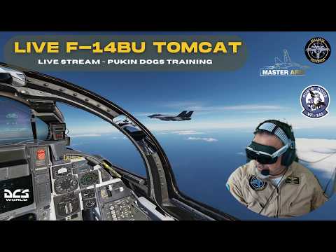 VF-143 Tomcat Carrier Ops Training – Pukin' Dogs Live Session