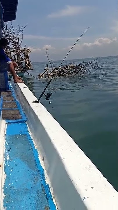 Begini Cara Rumpon Diceburkan ke Laut - YouTube