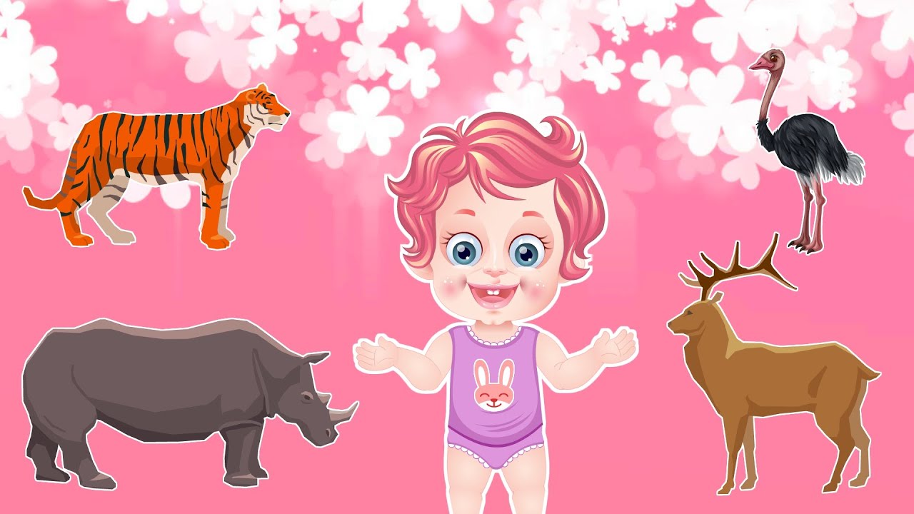 Kindergarten Video | Unveiling The Secrets Of Kindergarten General ...