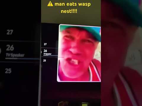 Man eats wasp nest - YouTube