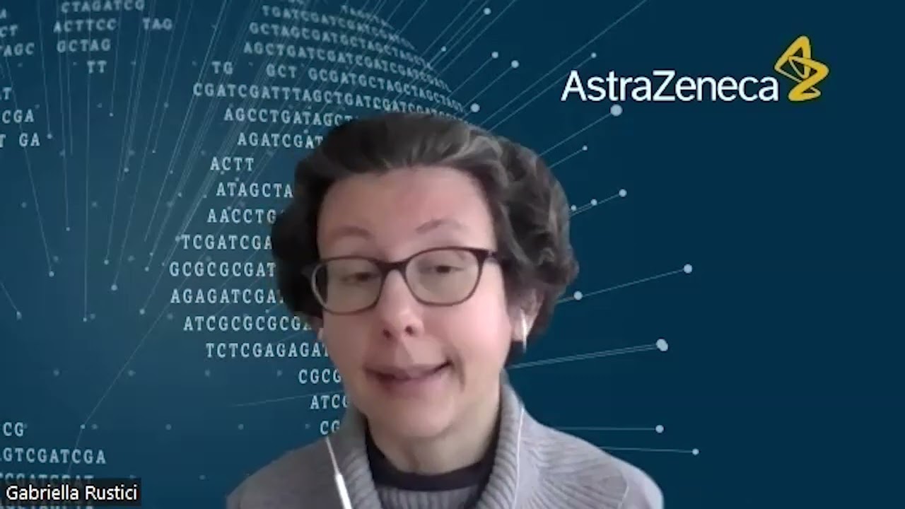 Research Software Camp panellist Gabriella Rustici - YouTube