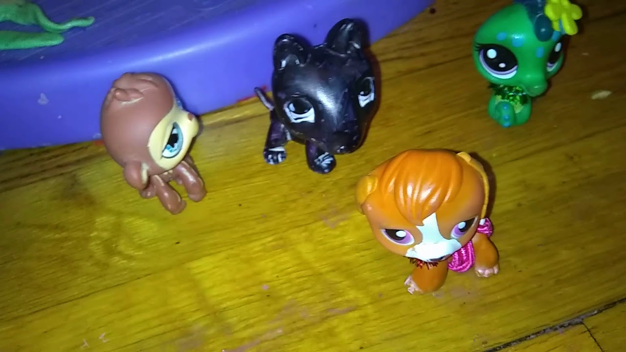 Hey NEW LPS SERIES coming! (Plz read description) - YouTube