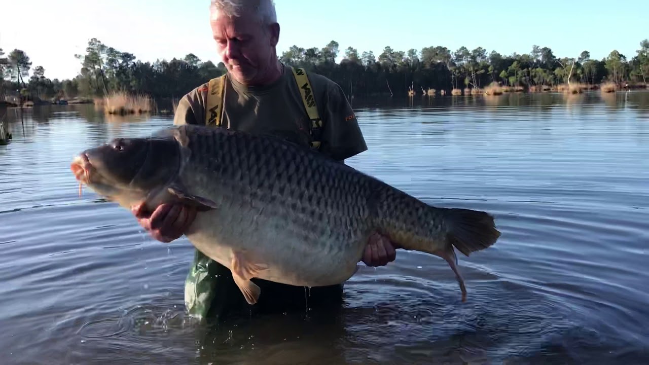 Big Carp Rainbow Lake France - YouTube