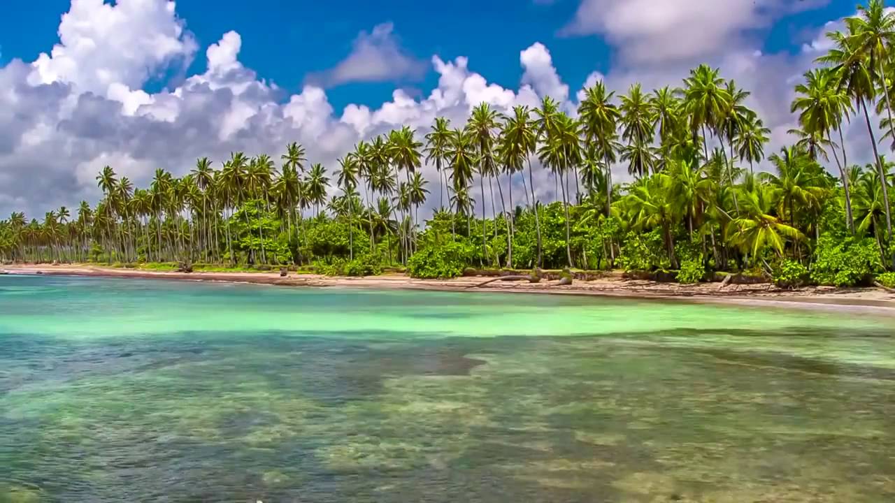 Free animation videos Beach Sea Video Background HD - YouTube