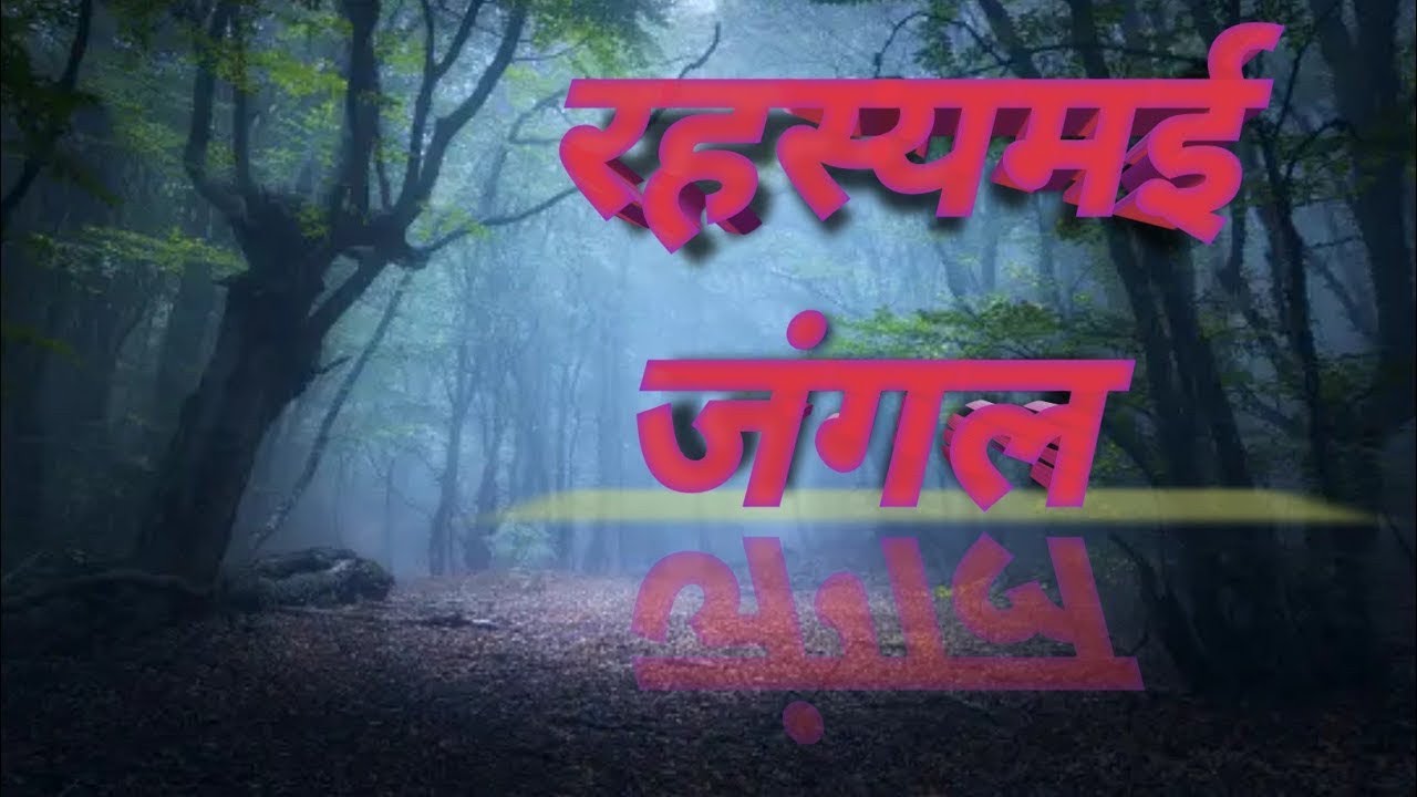 रहस्यमई जंगल/Rahasyamayi jungle/forest Amazon jungle/horror jungle ...
