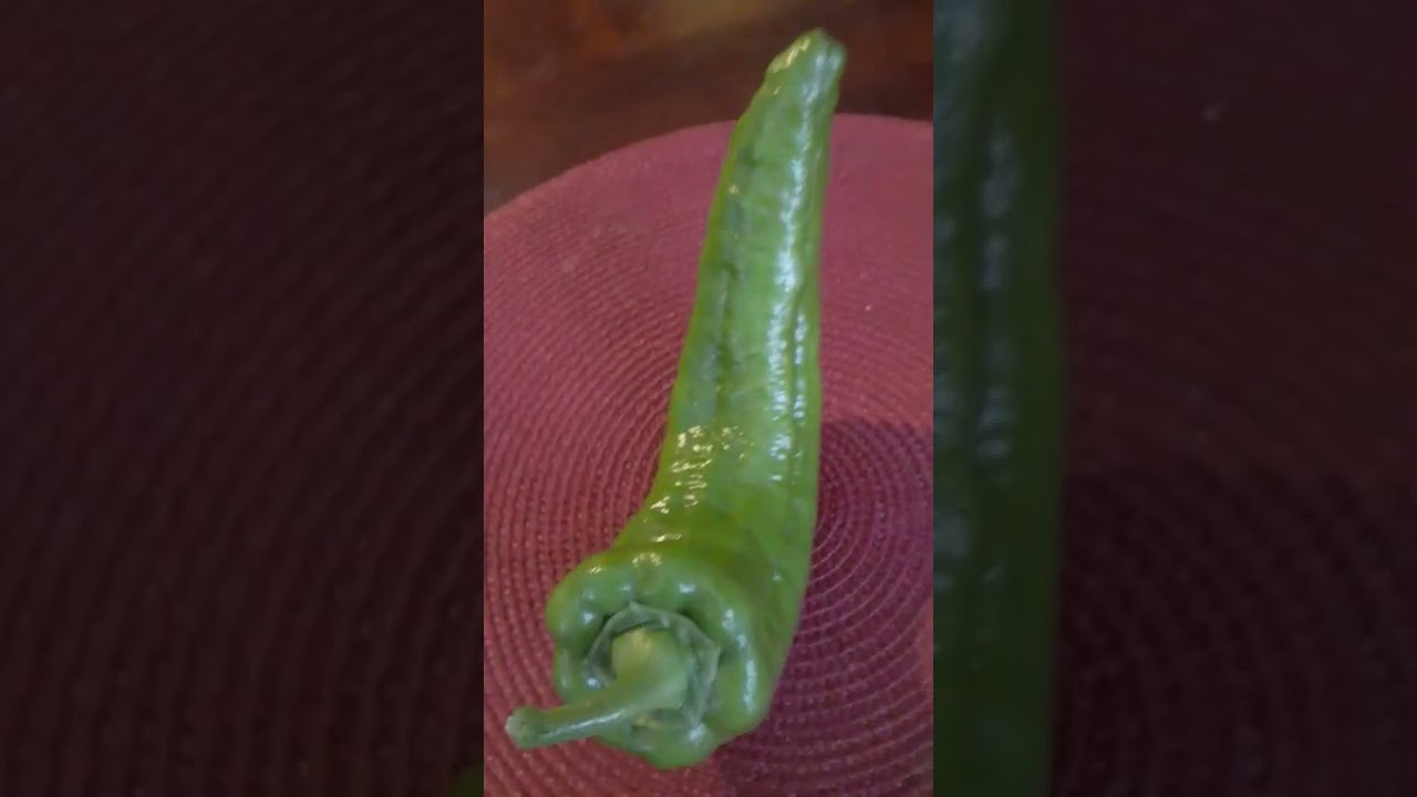 AMAZING JALAPENO #SUPERHUGE - YouTube