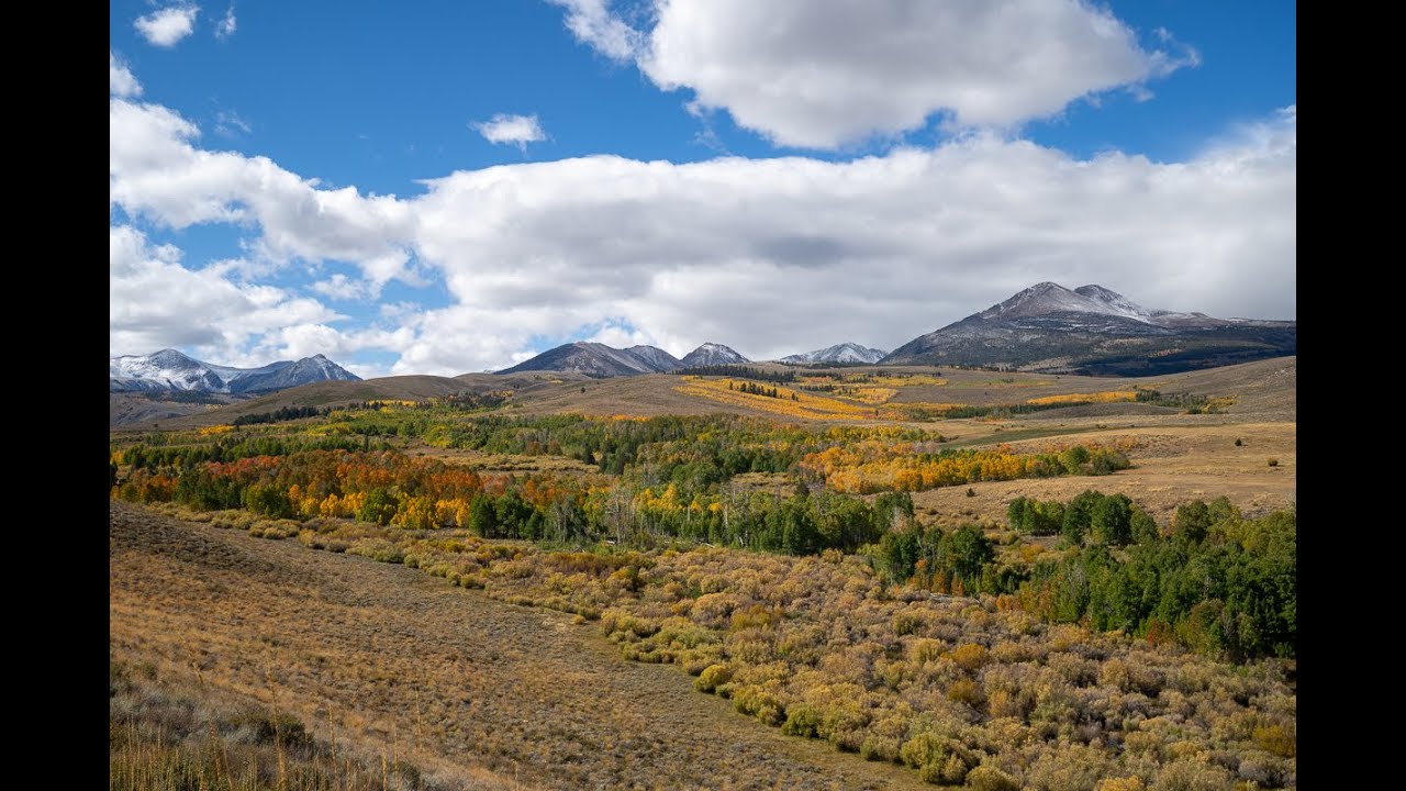 Eastern Sierra Oct 25, Fall colors galore - YouTube