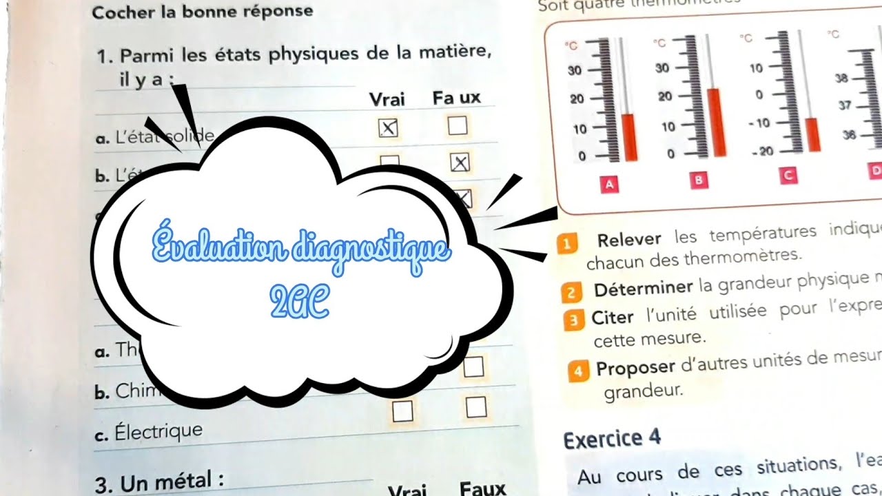 Évaluation diagnostique SVT 2AC BIOF - YouTube