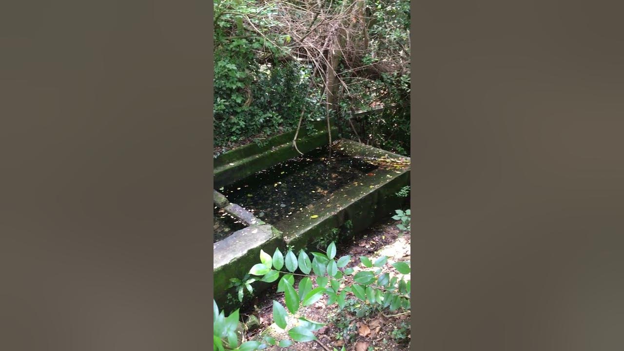 Lavatoio a Tricesimo (v. del Forte) I Lavatoi del Friuli Venezia Giulia ...