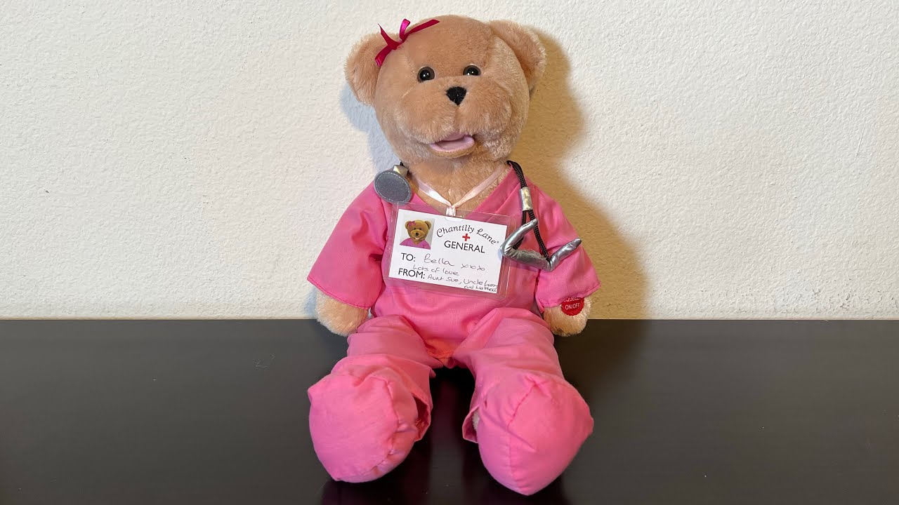 PBC International 2013 Scrubs Bear (Female) (Pink Scrubs) - YouTube