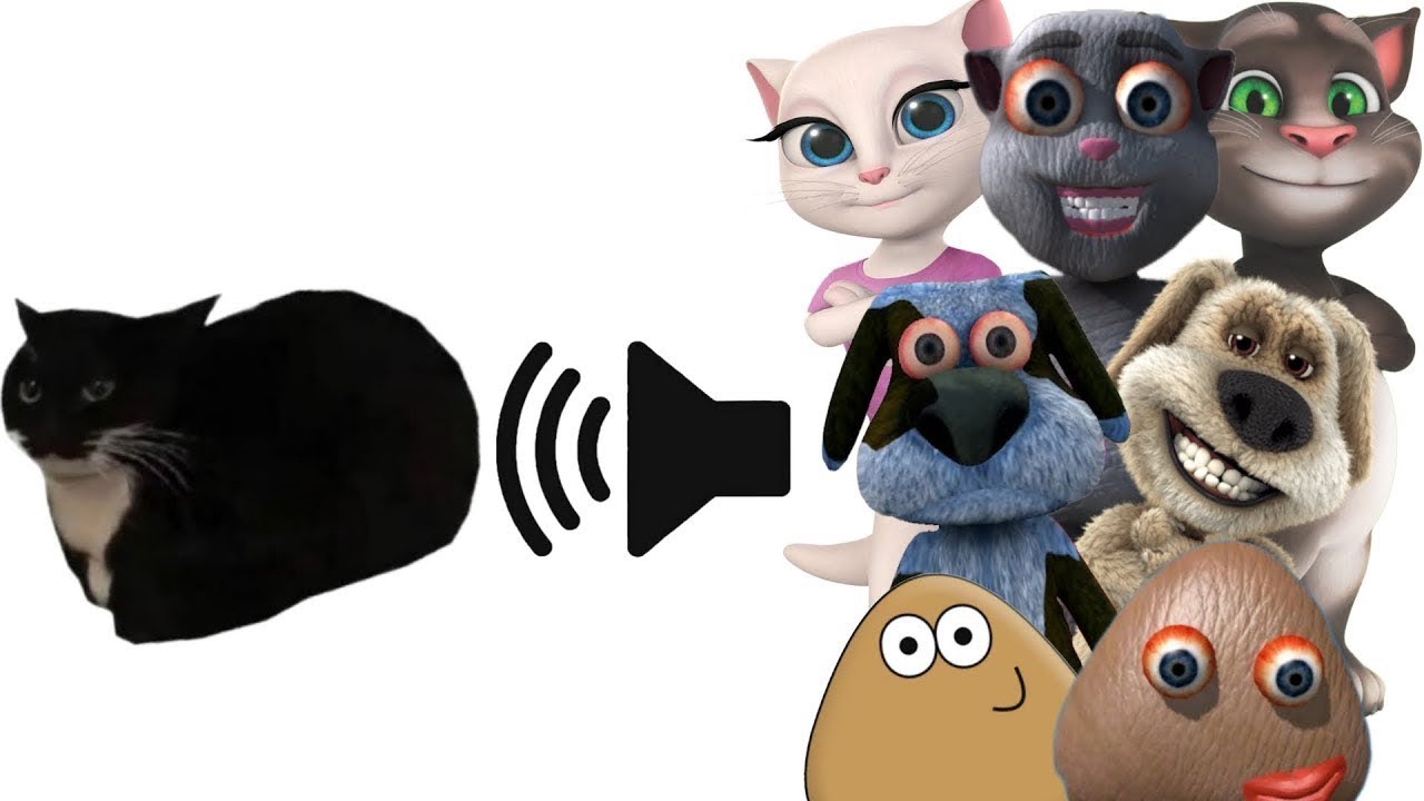 Maxwell Cat but it's Voice of Other Cats Dogs Pou - YouTube