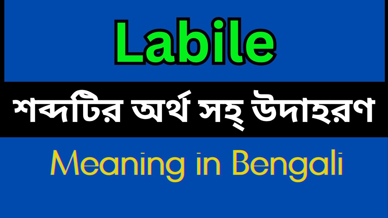 Labile Meaning In Bengali /Labile mane ki - YouTube