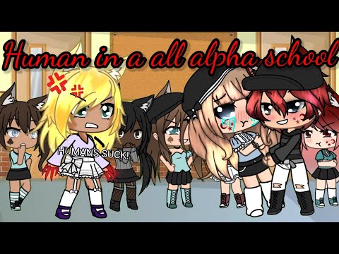 Human in a all alpha school /gacha life mini movie/GLMM/Inspired