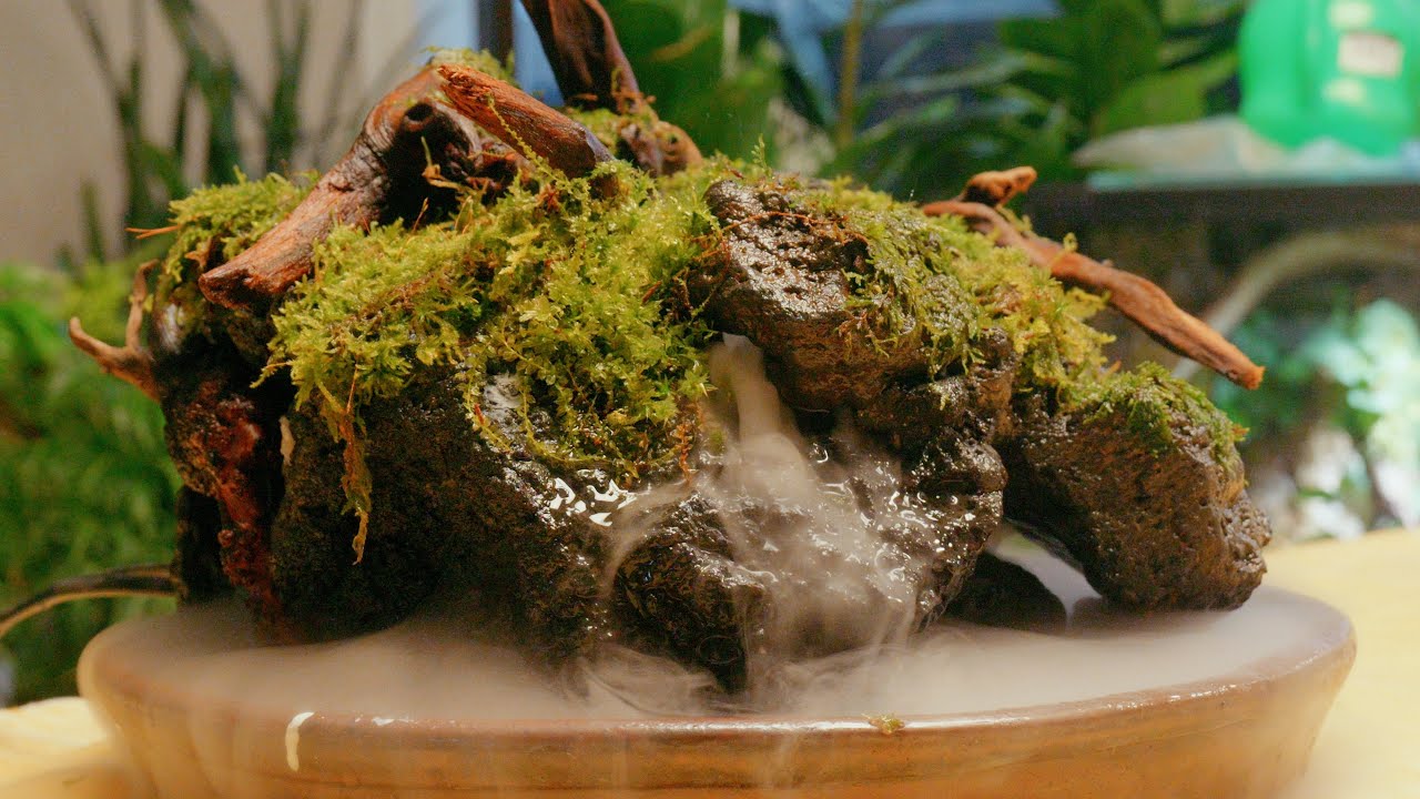 How to make a moss humidifier🍀 [4K] - YouTube