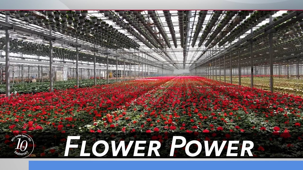 Flower Power: The Metrolina Greenhouses | Carolina Impact - YouTube