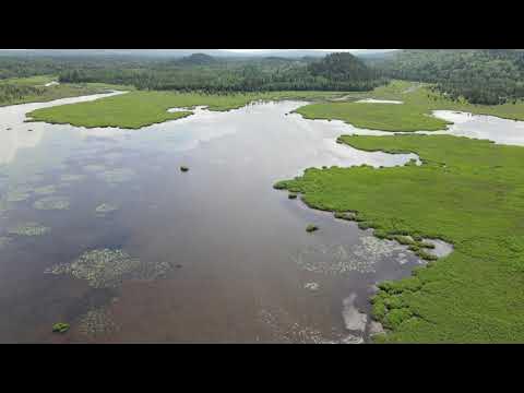 Lac Talon St-Fabien-de-Panet, Québec Canada - YouTube