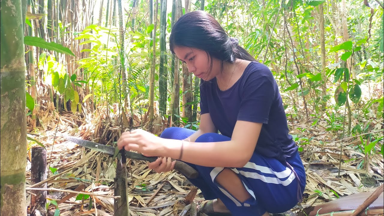 Suku Dayak || Beginilah Kehidupan Gadis Dayak di Hutan Kalimantan - YouTube