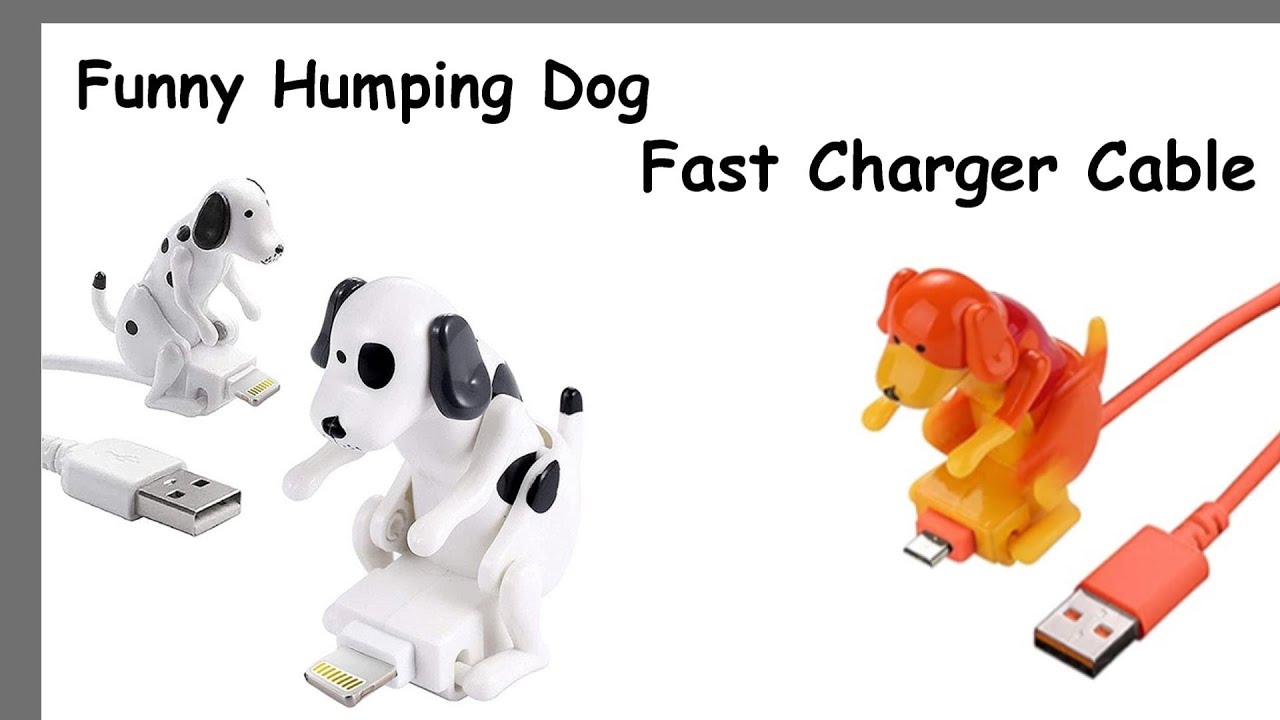 Funny Humping Dog Fast Charger Cable | Stray Dog Charging Cable - YouTube