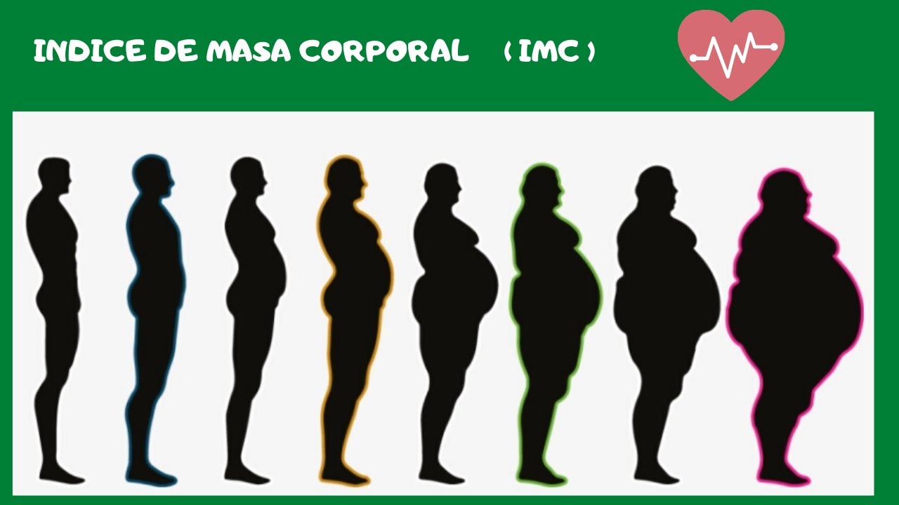 INDICE DE MASA CORPORAL (IMC) IMPORTANTE SABERLO EN QUE SITUACION ESTOY ...