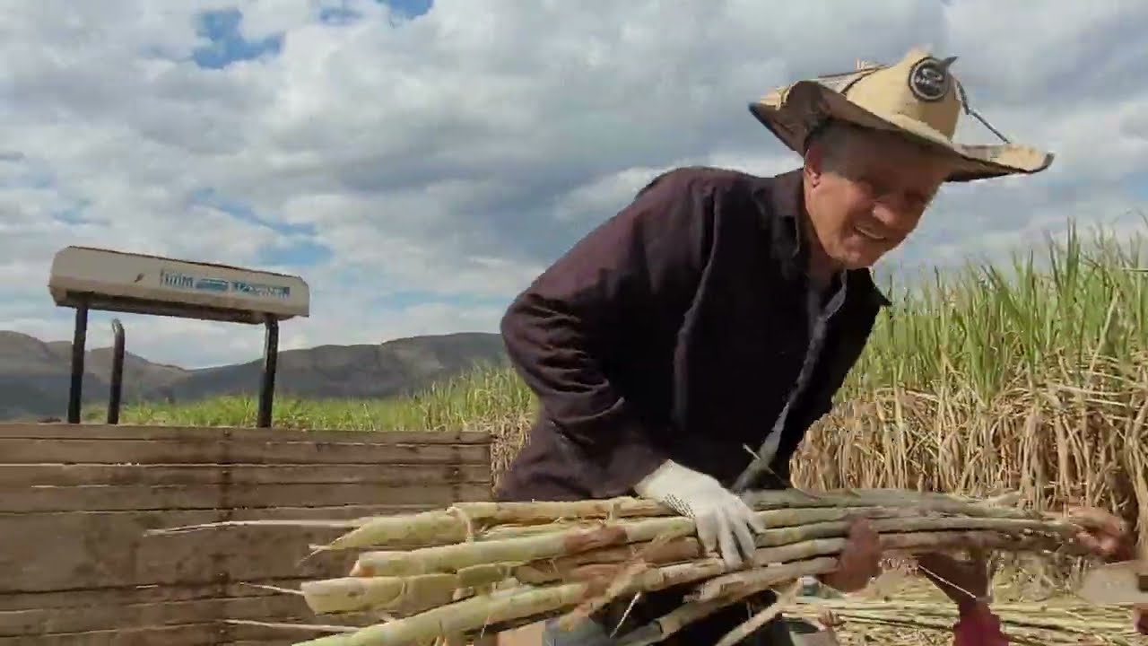 ELES PRODUZEM TUDO PARA SEU SUSTENTO - YouTube