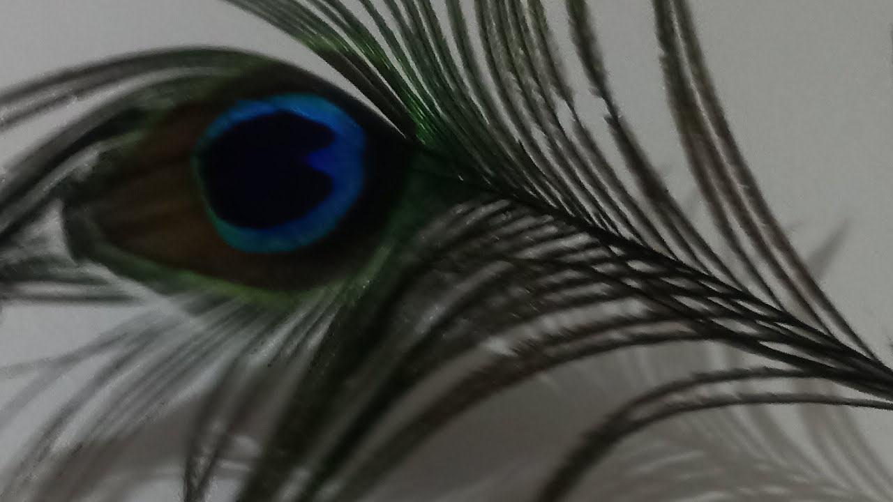 Vennela rama is live - YouTube