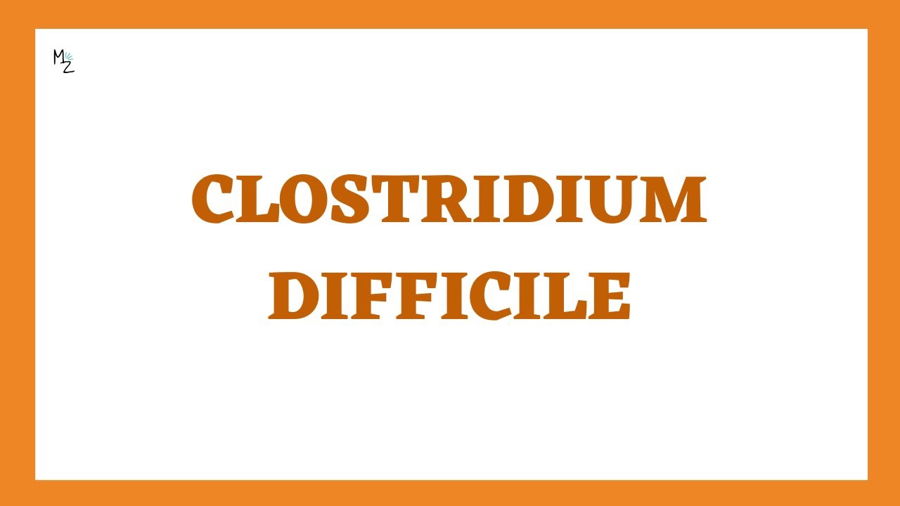 Clostridium difficile | Pseudomembranous colitis and Antibiotic ...