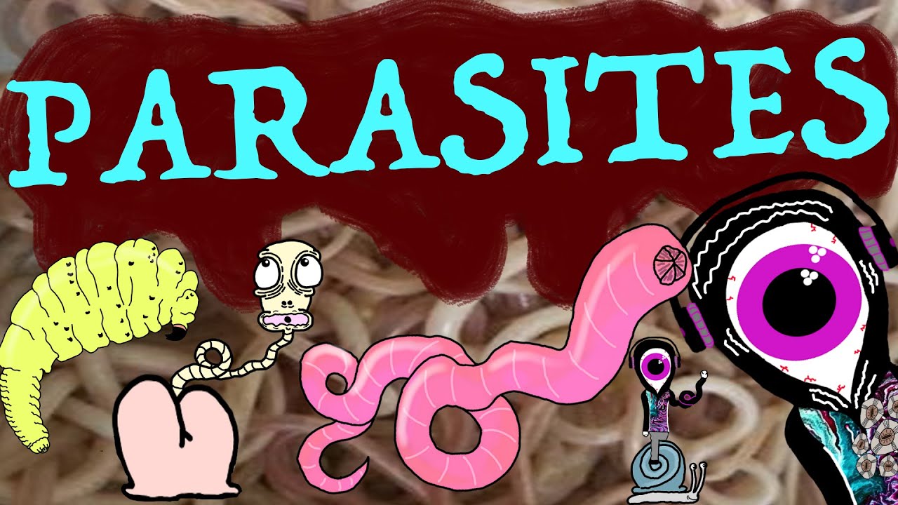 HORRIFIC HUMAN PARASITES ILLUSTRATED (and other stowaways) - Dark ...